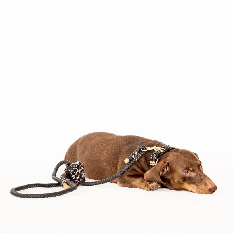 LACE POOP BAG POUCH – Osoqt